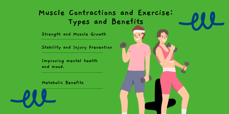 Muscle Contractions Power: Types and Benefits in Exercise