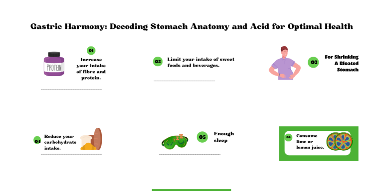Stomach Anatomy and Gastric Acid: Navigating Digestive Wellness
