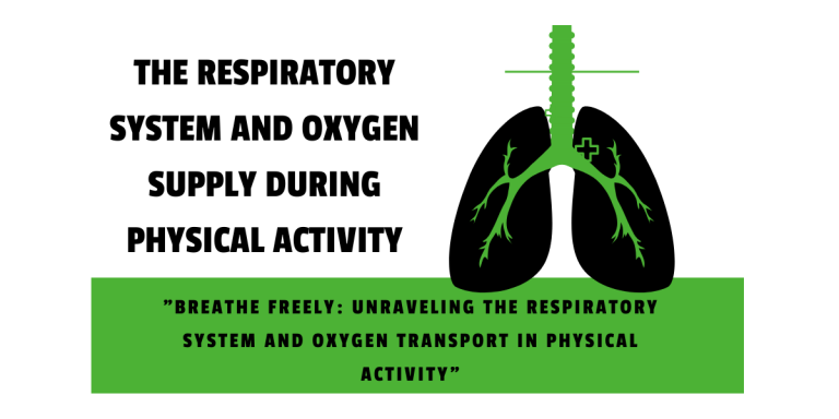 Respiratory System and Oxygen Supply: Vital Insights for Living