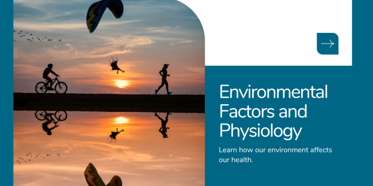 Nature Influence: Environmental Factors Shape Human Physiology