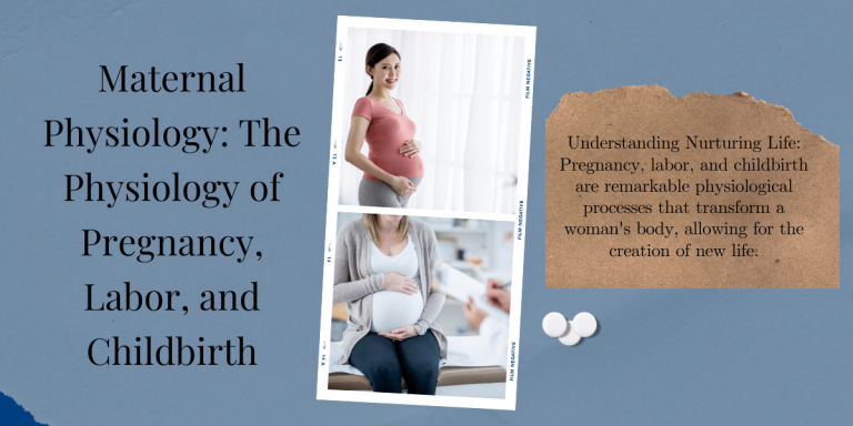 Maternal Physiology: Nurturing Life to Pregnancy, Labor, Childbirth