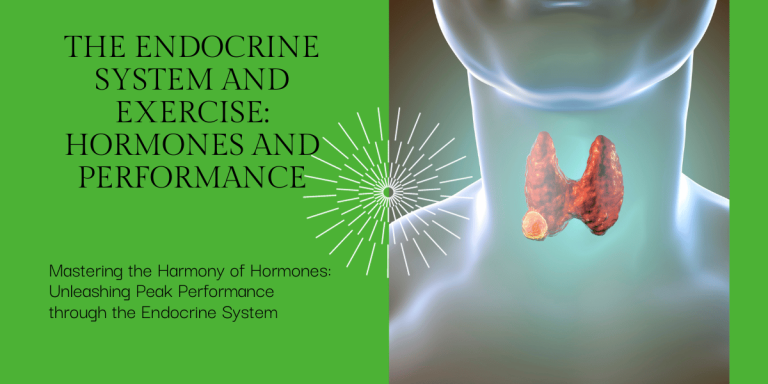 Elevate Your Workout: Decoding the Endocrine System’s Impact on ...