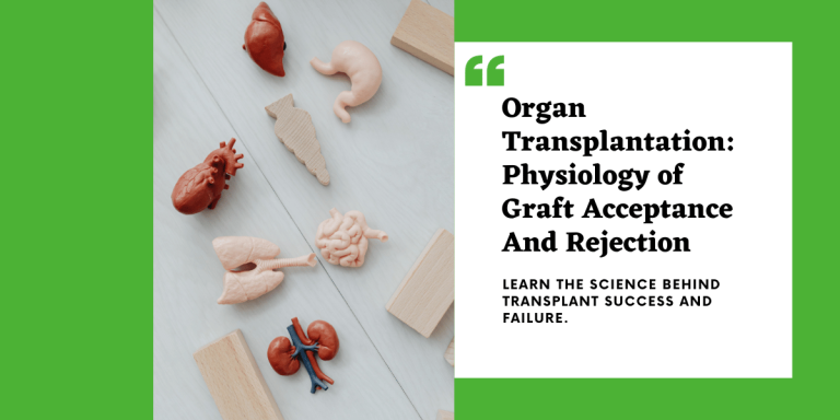 Organ Transplantation Physiology: Navigating the Complex World of Graft ...