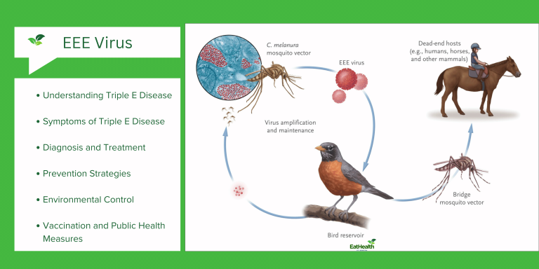 Beware of Triple E Disease: Protect Against EEE Virus